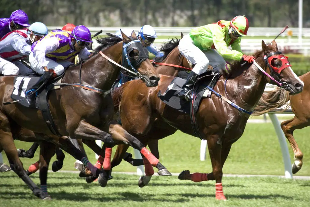 The Importance of Pace - Pace Analysis Part 1 - Winner Odds