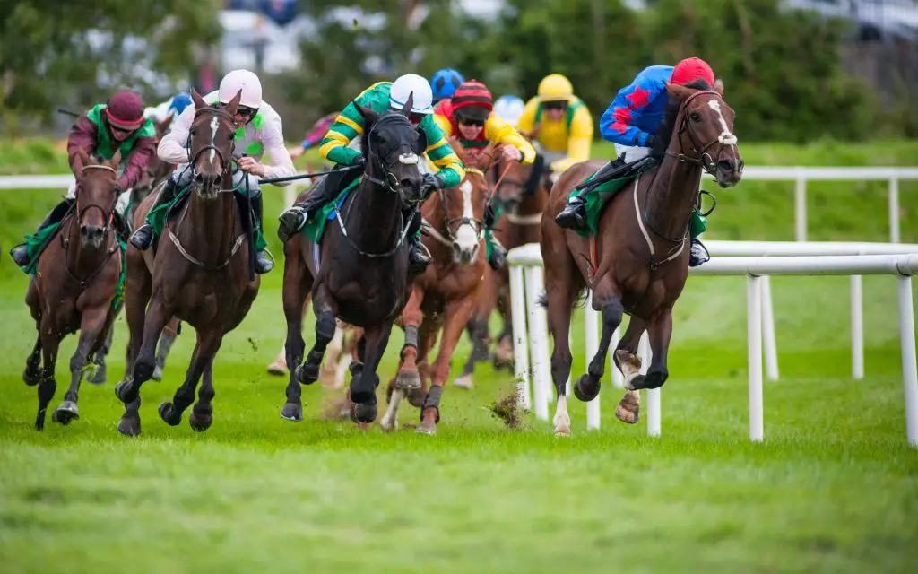 How To Create Your Own Horse Racing System Winner Odds how-to-create-your-own-horse-racing-system-winner-odds